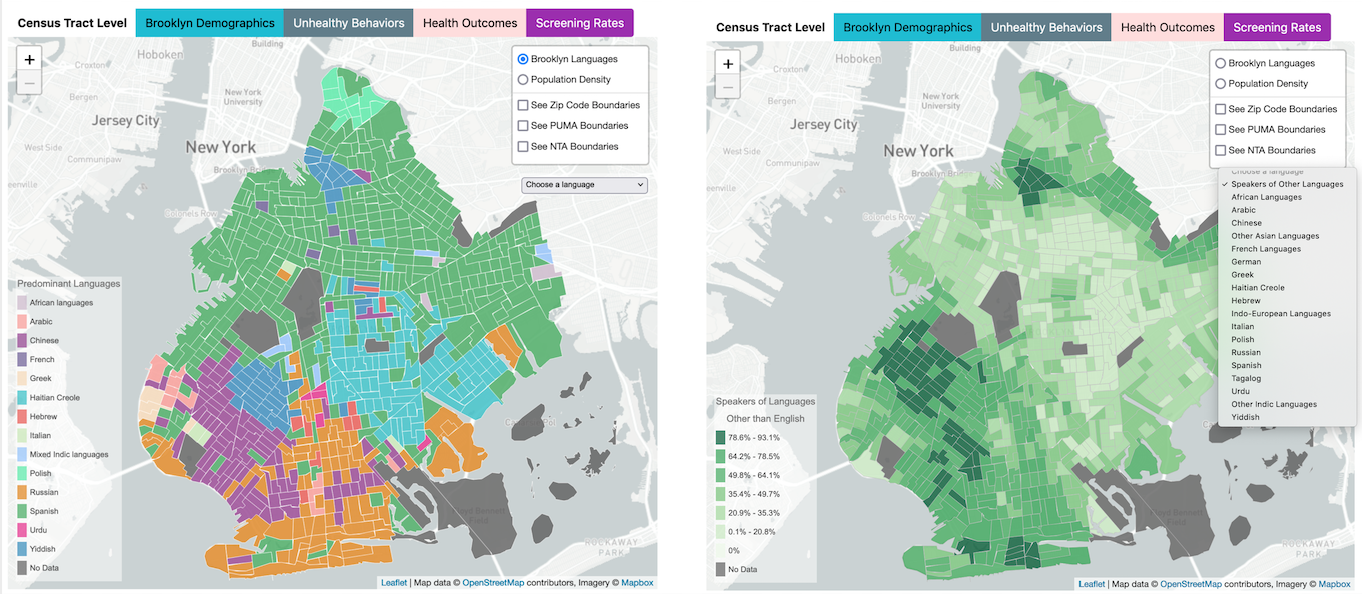 The Code4Lib Journal – The Brooklyn Health Map: Reflections on a Health ...